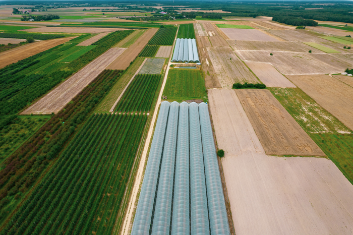 WARSZTATY TECHNIKI JAGODOWEJ BERRY TECH 2023 - Porady | Sklep ...