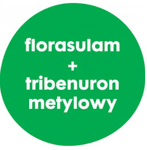 SARACEN MAX 80 WG 50G | Sklep Internetowy