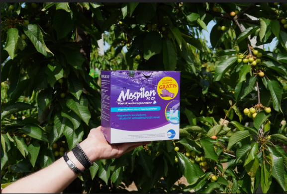 MOSPILAN - CO TO JEST I JAK DZIAŁA? - Porady | Sklep Internetowy Wpolu.pl