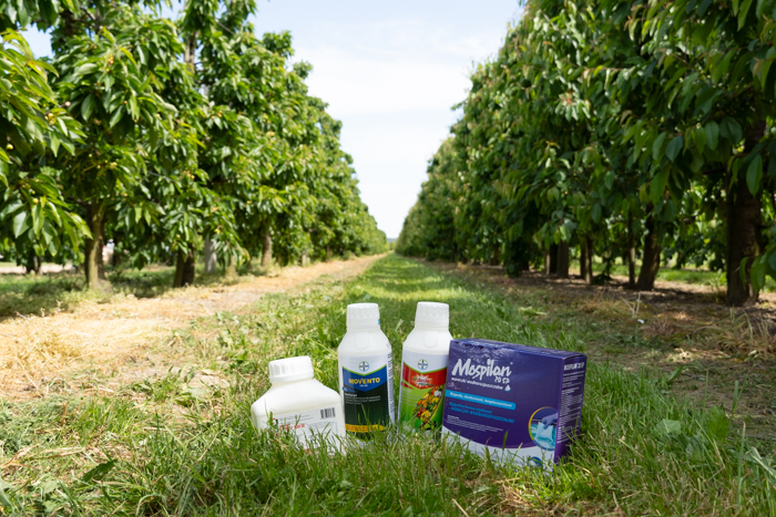 PESTYCYDY - CZYM SĄ I W JAKIM CELU SIĘ JE STOSUJE? - Porady | Sklep ...