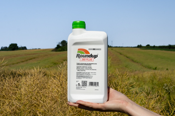 PESTYCYDY - CZYM SĄ I W JAKIM CELU SIĘ JE STOSUJE? - Porady | Sklep ...