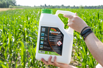 PESTYCYDY - CZYM SĄ I W JAKIM CELU SIĘ JE STOSUJE? - Porady | Sklep ...