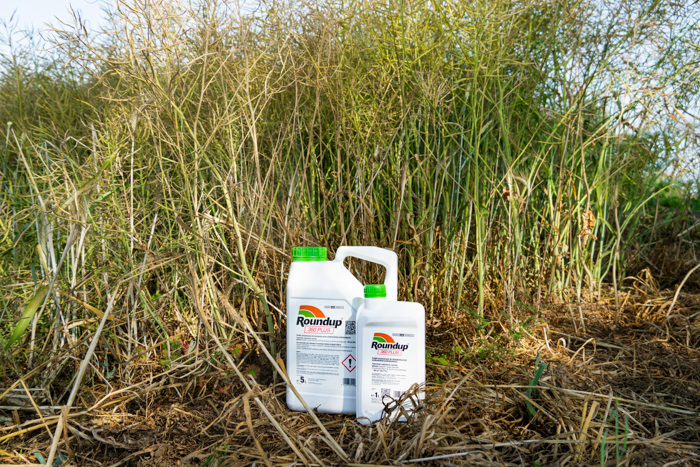 GLIFOSAT - CZYM JEST I JAK DZIAŁA? - Porady | Sklep Internetowy Wpolu.pl