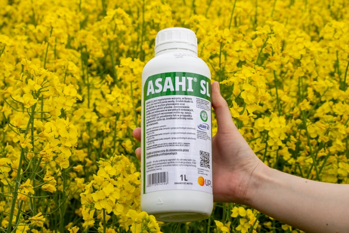 ASAHI SL 0,5L - sklep wPolu.pl